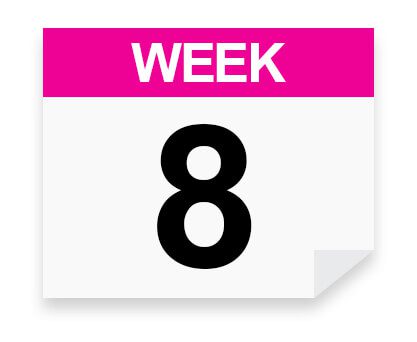 week8 - The Sculpted Vegan - Kim Constable