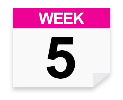 week5 - The Sculpted Vegan - Kim Constable