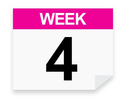 week4 - The Sculpted Vegan - Kim Constable