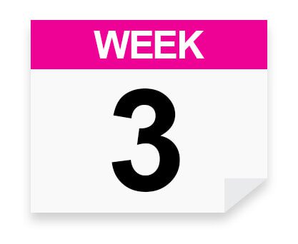 week3 - The Sculpted Vegan - Kim Constable