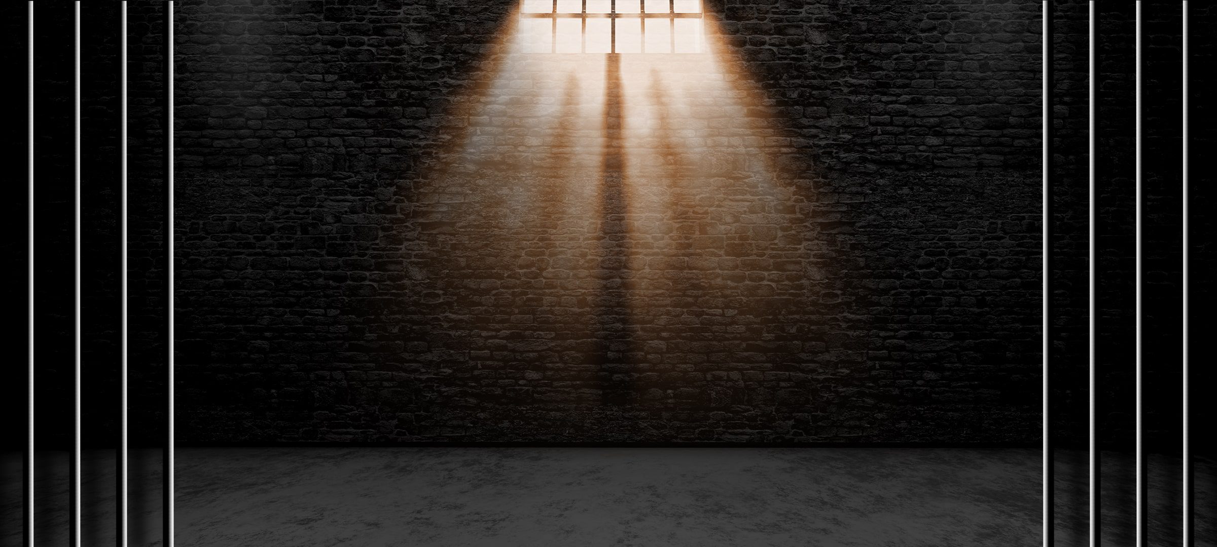 jhs-home-banner-main-min - The Sculpted Vegan - Kim Constable