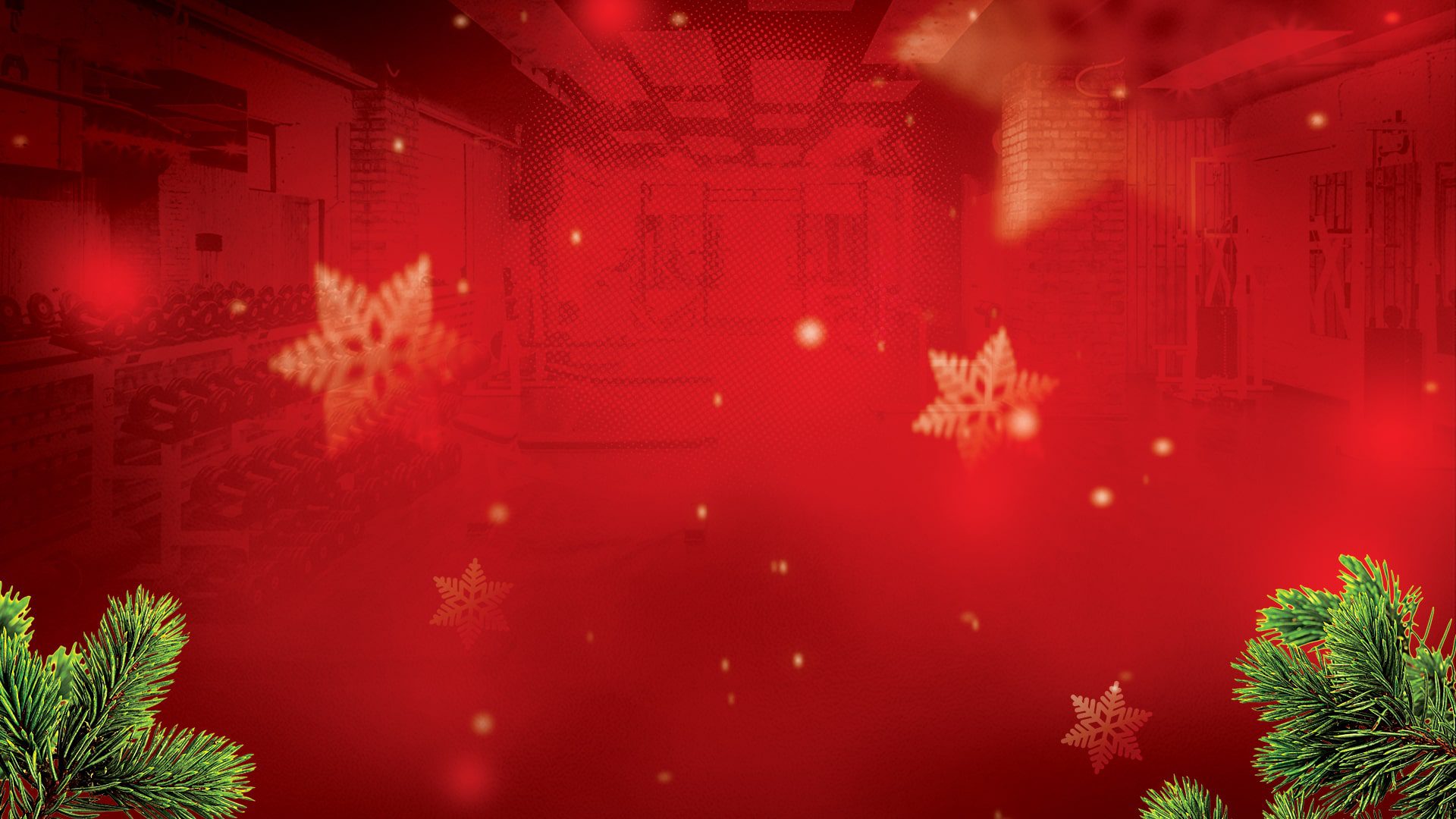 home-Banner-Background-min - The Sculpted Vegan - Kim Constable