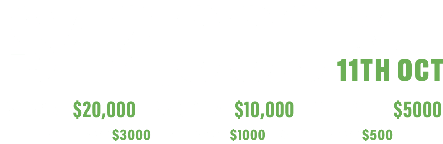 Prize-fund - The Sculpted Vegan - Kim Constable
