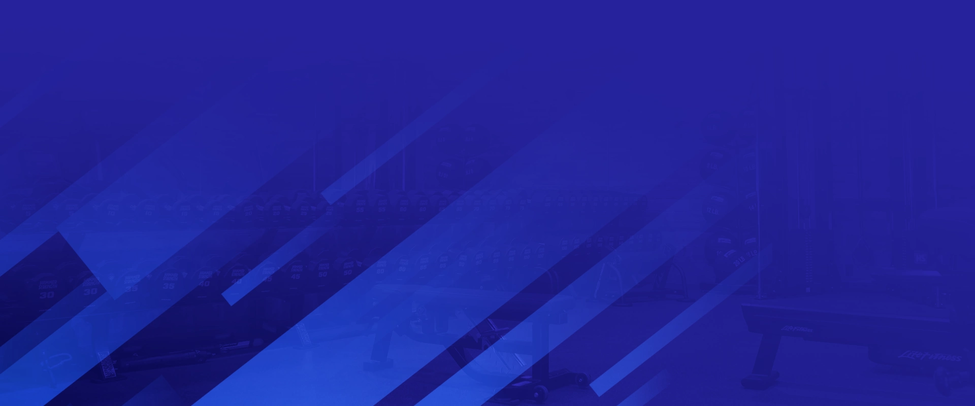 Ultimate 28 Day Abs - The Sculpted Vegan - Kim Constable