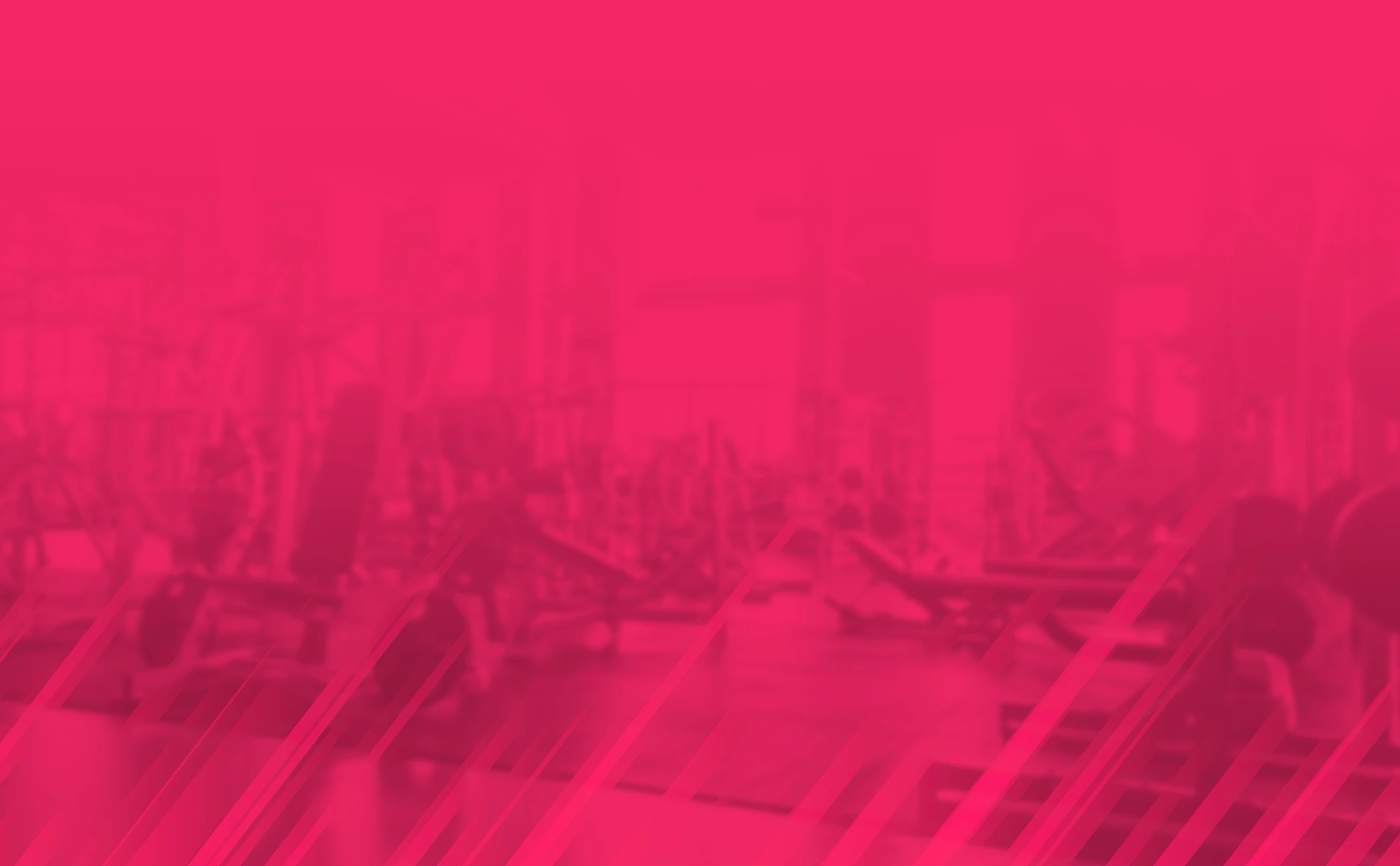 Ultimate 28 Day Abs - The Sculpted Vegan - Kim Constable