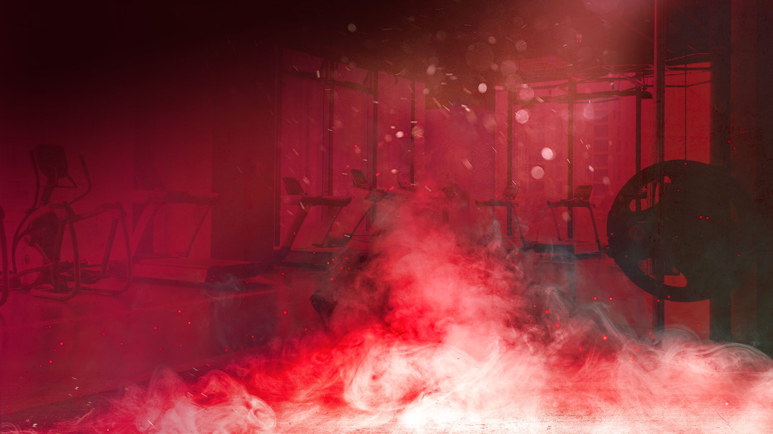 Bikini Athlete Abs - The Sculpted Vegan - Kim Constable