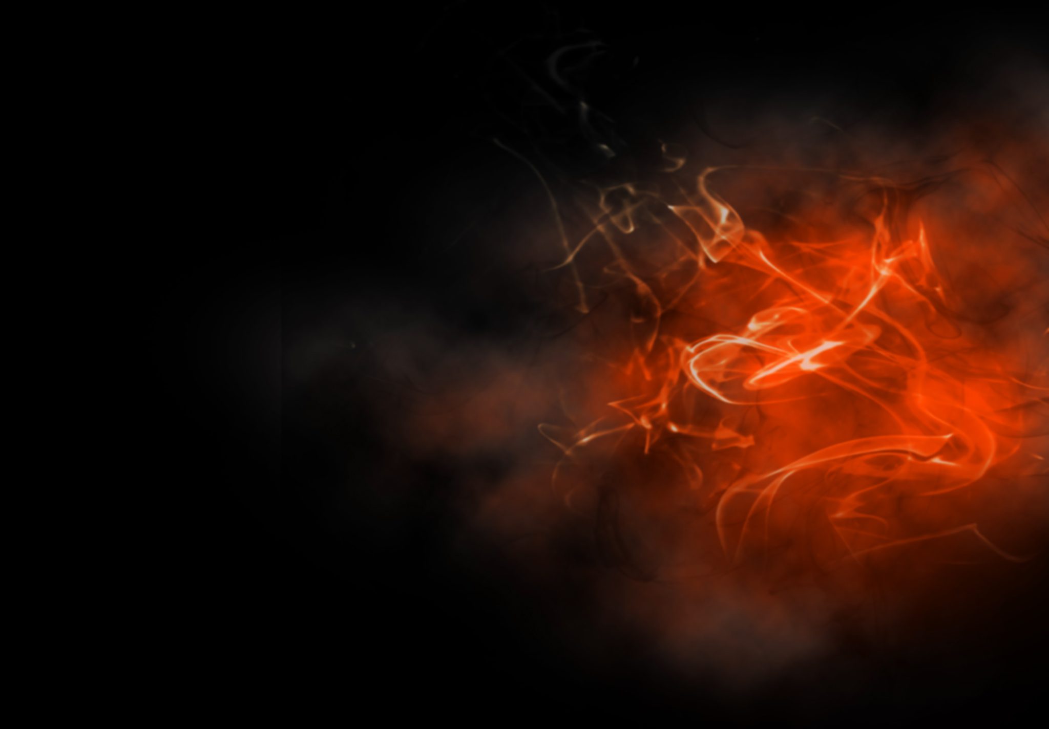 8 Week Maximum Body Burn Program - The Sculpted Vegan - Kim Constable